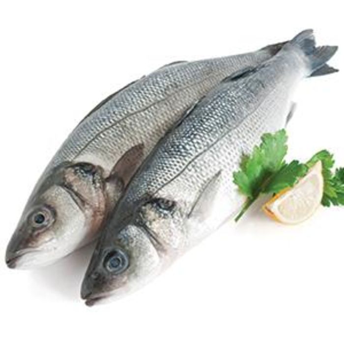Buy Iqf Whole Sea Bass Gilled And Gutted 300 400g 1x5kg Order Online From Jj Foodservice
