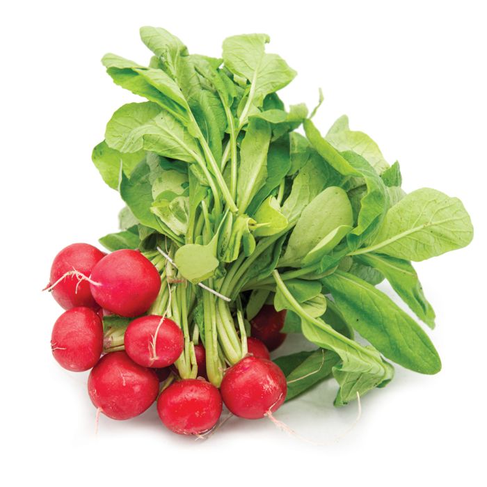 Buy Fresh Bunch Radish-1x5kg - Order Online From JJ Foodservice