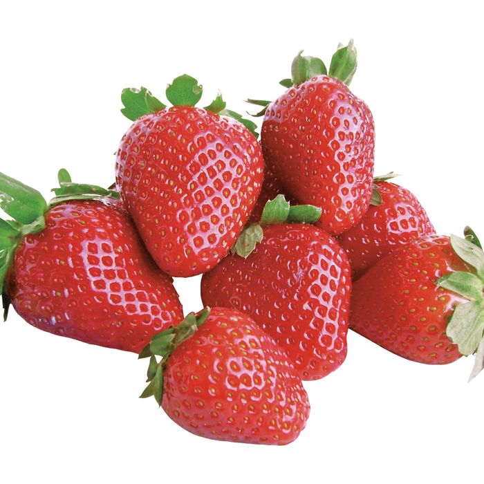 Buy Fresh Strawberry-10x(227g-250g) - Order Online From JJ Foodservice